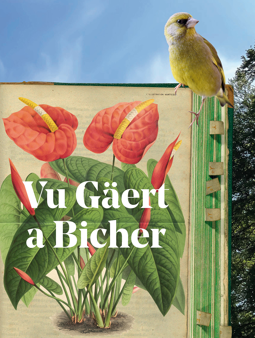 Vu Gäert a Bicher - Bibliothèque nationale (BnL) - Luxembourg